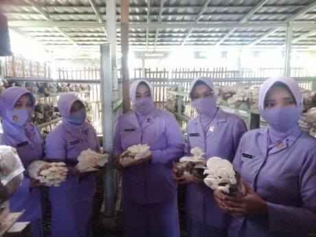 Pangkosekhanudnas I Cek Kesiapan Satrad 214 dan Satrad 215 - Progresif ...