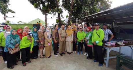Tim Penggerak PKK Jaktim Verifikasi Penilaian Lomba 10 Program di ...